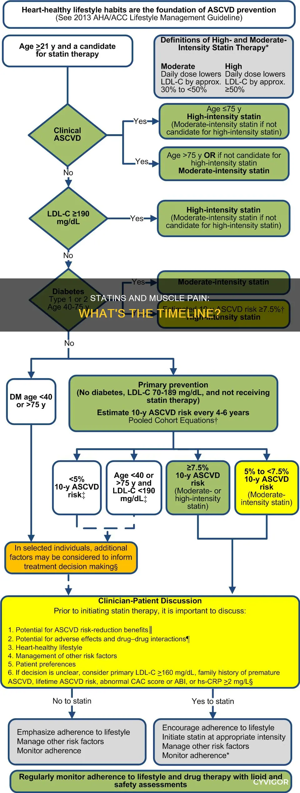 Statins And Muscle Pain: What's The Timeline? | CyVigor