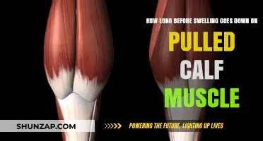 Healing Time For Pulled Lower Back Muscles: What To Expect | CyVigor