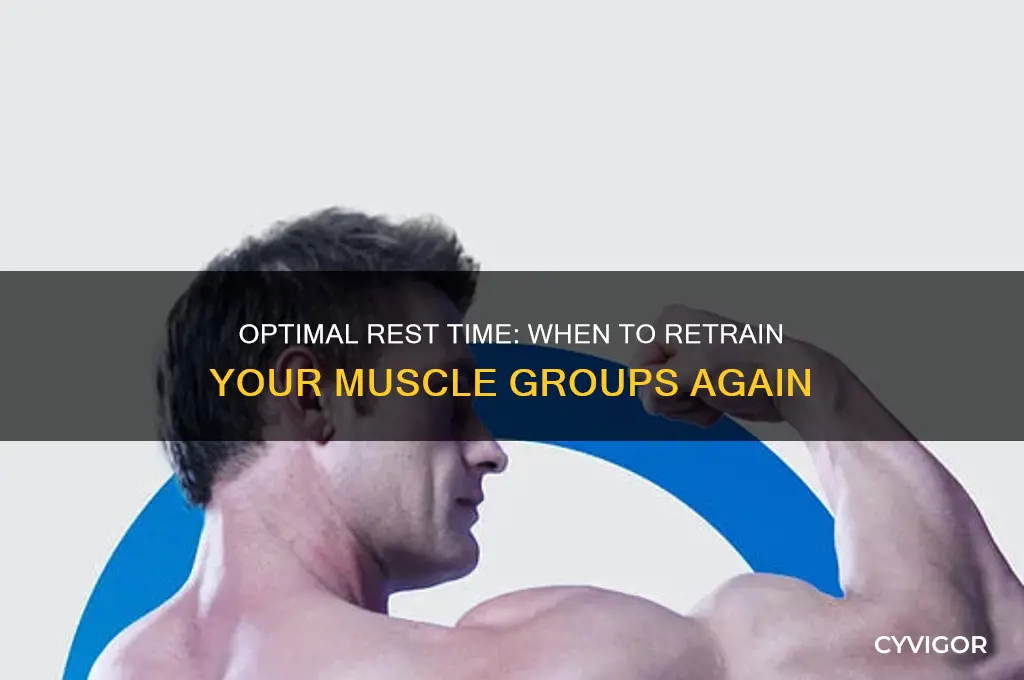Optimal Rest Time: When To Retrain Your Muscle Groups Again | CyVigor