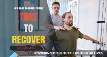 Pulled Back Muscle Pain: Duration And Recovery Timeline Explained | CyVigor