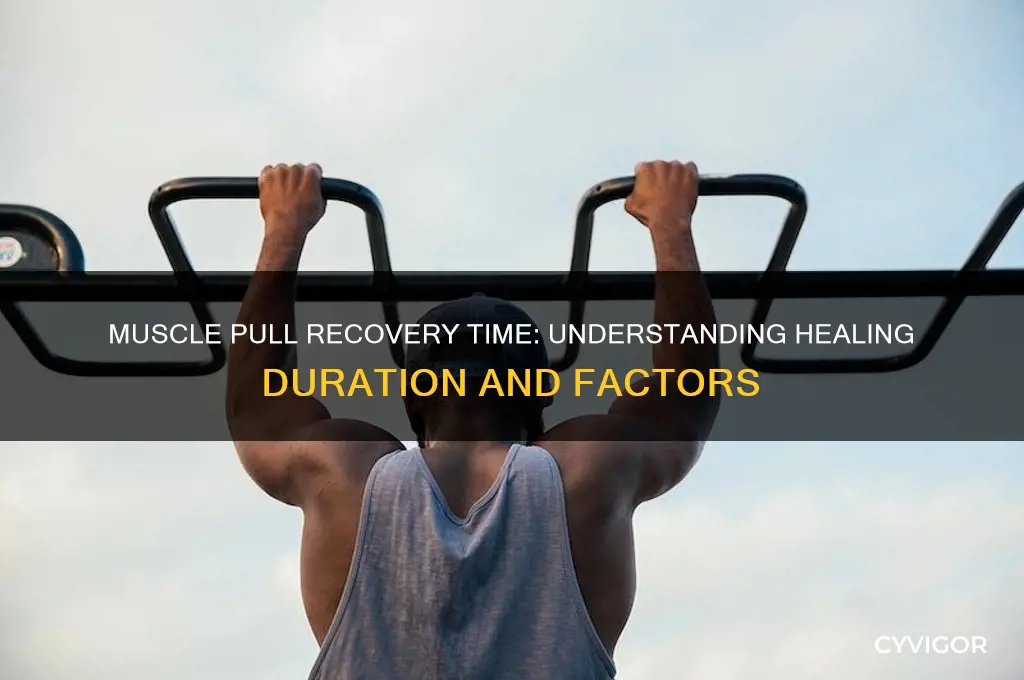 Muscle Pull Recovery Time: Understanding Healing Duration And Factors ...