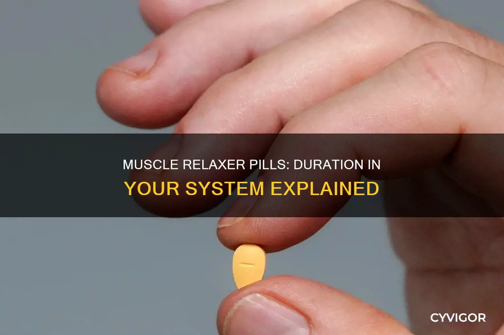 Muscle Relaxer Pills: Duration In Your System Explained | CyVigor