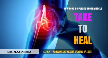 Pulled Abdominal Muscle Recovery Time: What To Expect And How To Heal ...