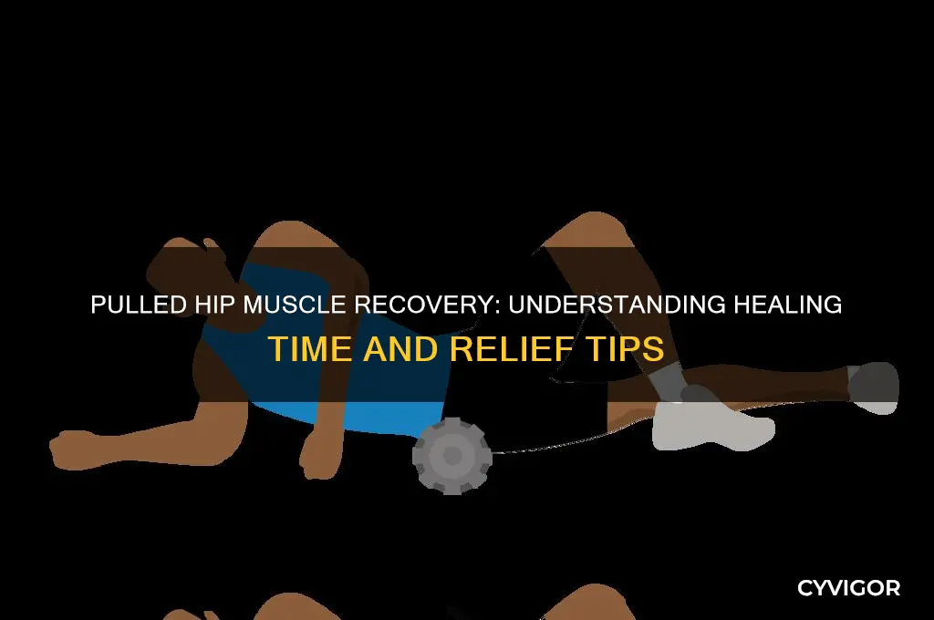 Pulled Hip Muscle Recovery: Understanding Healing Time And Relief Tips ...