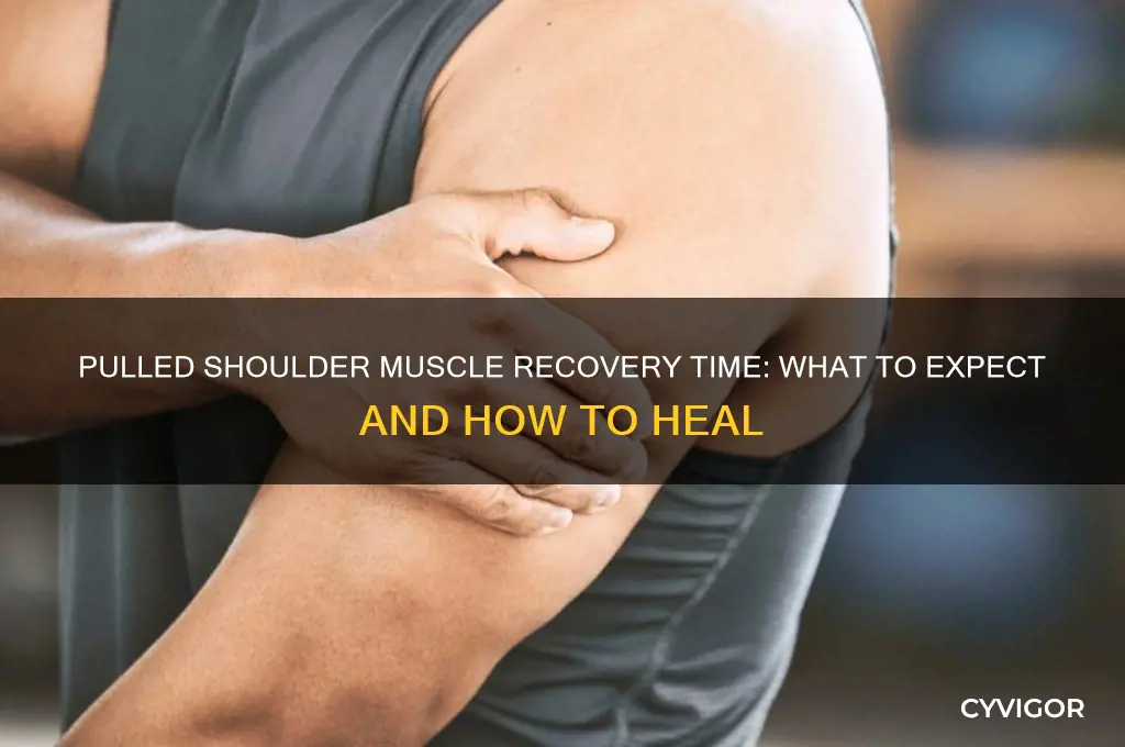 Pulled Shoulder Muscle Recovery Time: What To Expect And How To Heal ...