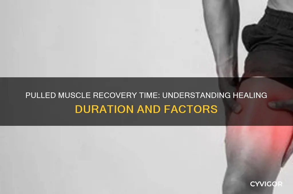 Pulled Muscle Recovery Time: Understanding Healing Duration And Factors ...