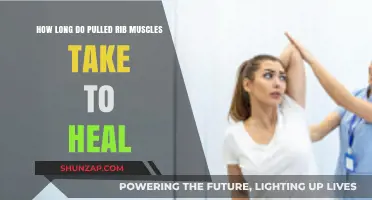 Healing Time For Pulled Muscles: What To Expect And How To Recover ...