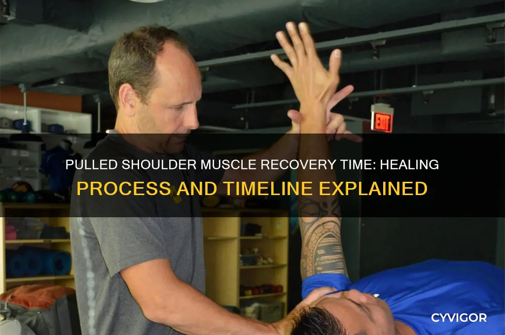 Pulled Shoulder Muscle Recovery Time: Healing Process And Timeline ...