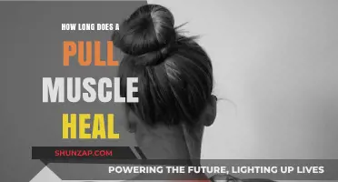 Pulled Glute Muscle Recovery Time: Healing Process And Timeline ...