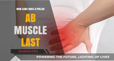 Healing Time For Pulled Muscles: What To Expect And How To Recover ...