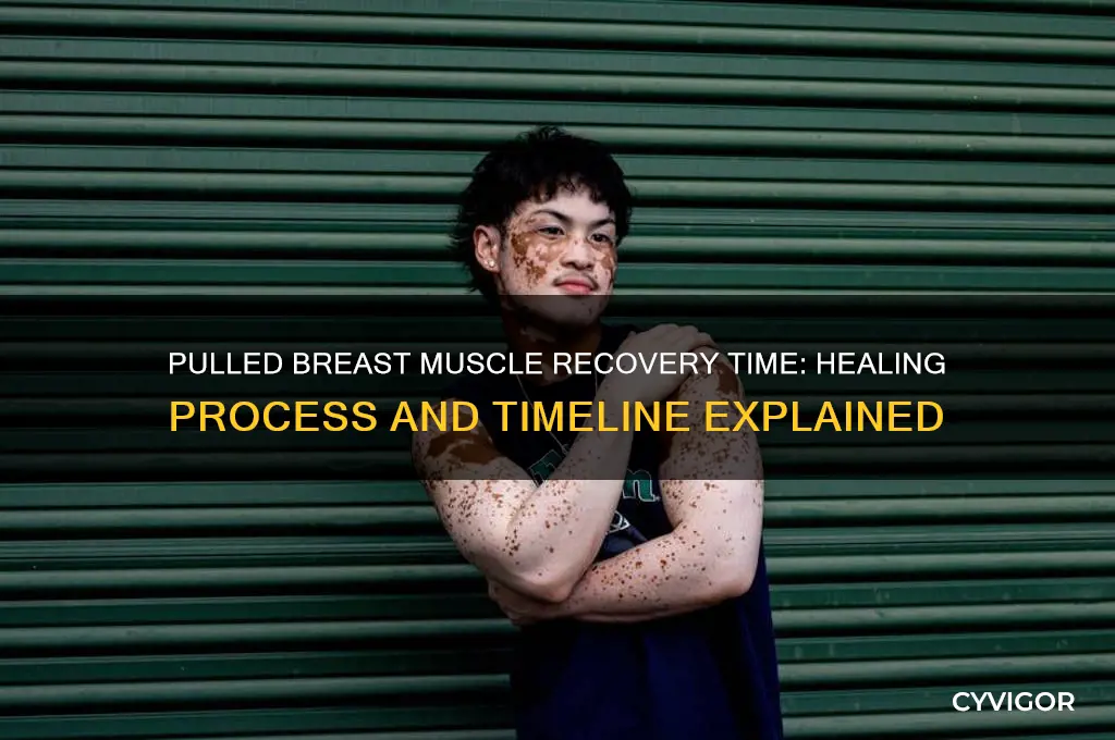 Pulled Breast Muscle Recovery Time: Healing Process And Timeline ...
