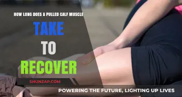 Pulled Chest Muscle Recovery Time: What To Expect And How To Heal | CyVigor