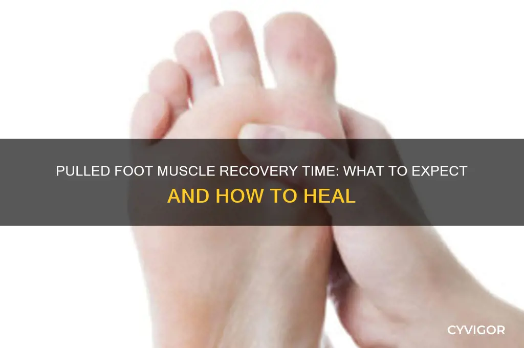 Pulled Foot Muscle Recovery Time: What To Expect And How To Heal | CyVigor