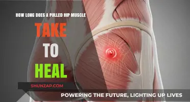 Healing Time For Pulled Muscles: What To Expect And How To Recover ...