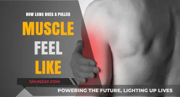 Pulled Arm Muscle Recovery Time: Healing Process And Timeline Explained ...
