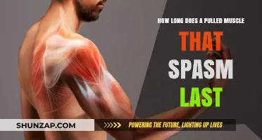 Pulled Glute Muscle Recovery Time: Healing Process And Timeline ...