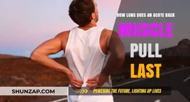 Pulled Quad Muscle Recovery Time: Healing Process And Timeline ...