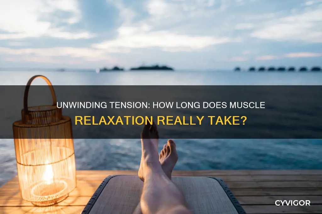 Unwinding Tension: How Long Does Muscle Relaxation Really Take? | CyVigor