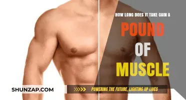 Women's Muscle Building Timeline: Factors Affecting Strength Gains And ...