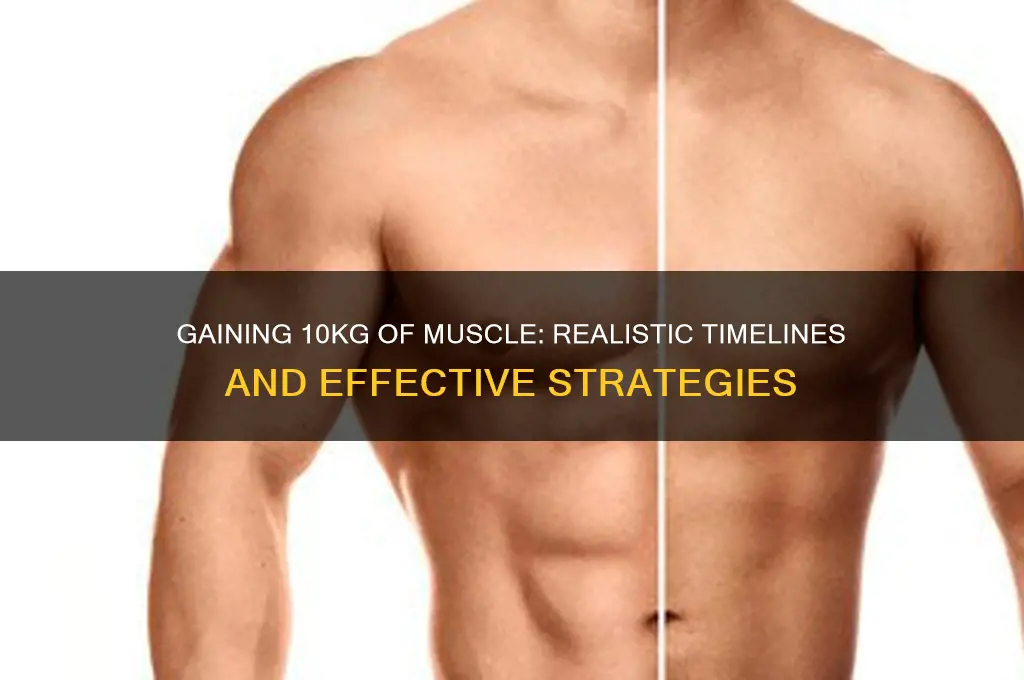 Gaining 10Kg Of Muscle: Realistic Timelines And Effective Strategies ...