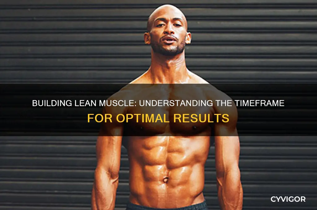 Building Lean Muscle: Understanding The Timeframe For Optimal Results ...