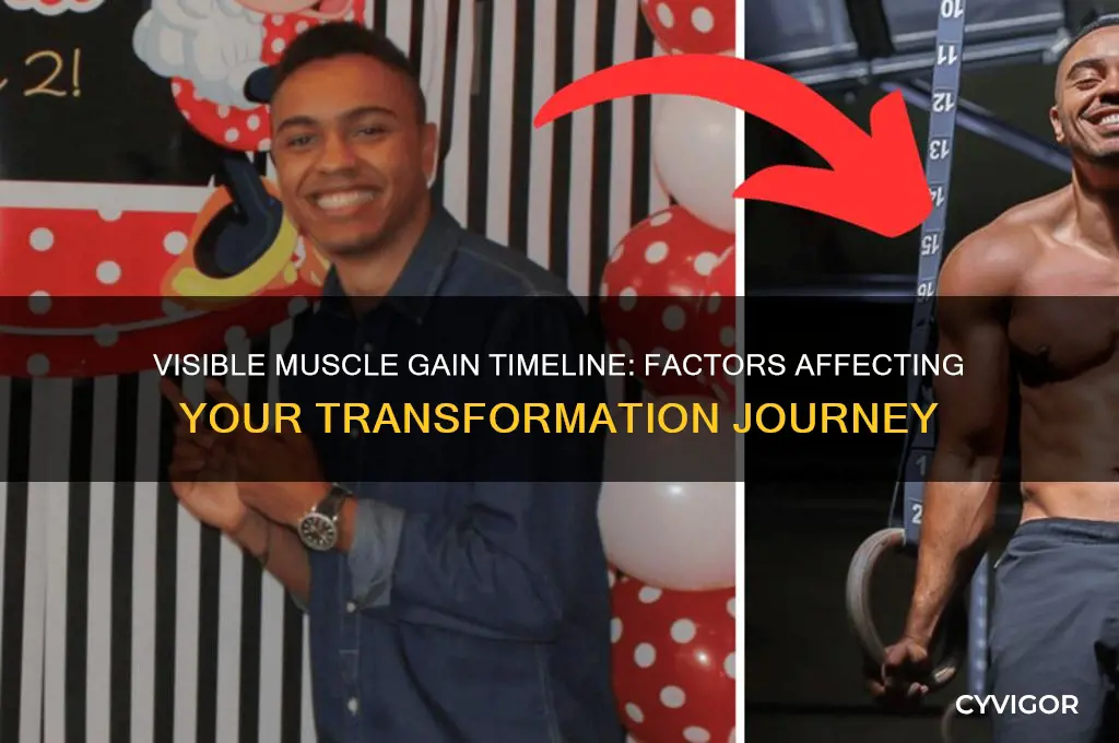 Visible Muscle Gain Timeline: Factors Affecting Your Transformation ...
