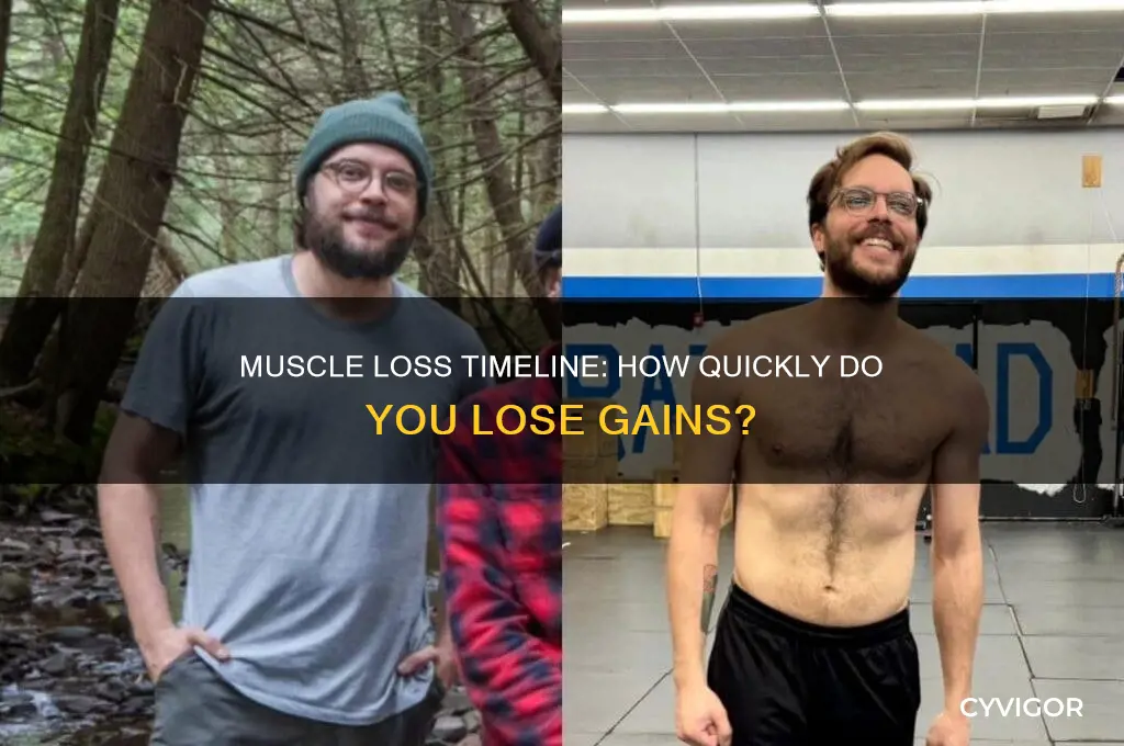 Muscle Loss Timeline: How Quickly Do You Lose Gains? | CyVigor