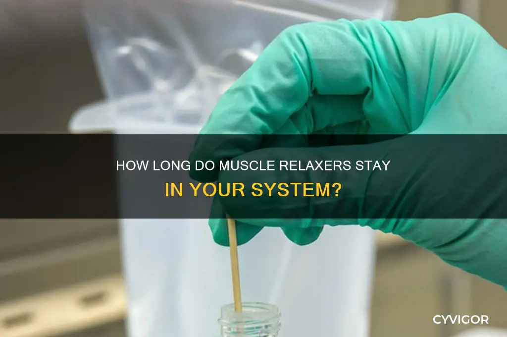 How Long Do Muscle Relaxers Stay In Your System? | CyVigor