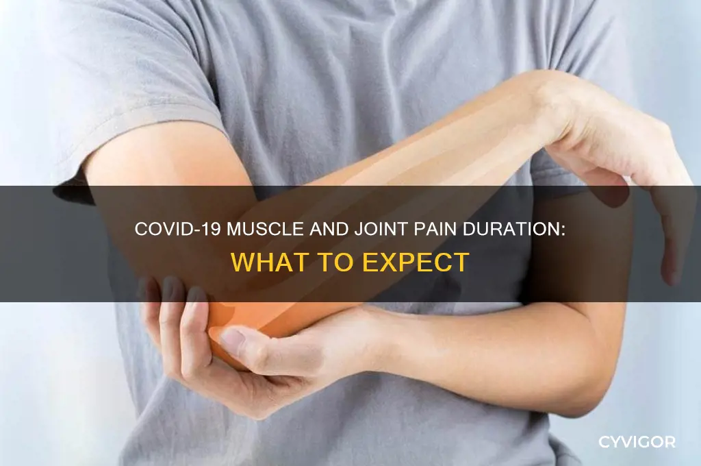 Covid-19 Muscle And Joint Pain Duration: What To Expect | CyVigor