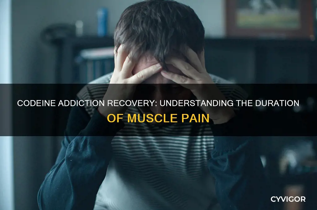 Codeine Addiction Recovery: Understanding The Duration Of Muscle Pain ...