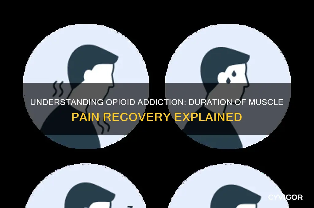 Understanding Opioid Addiction: Duration Of Muscle Pain Recovery ...