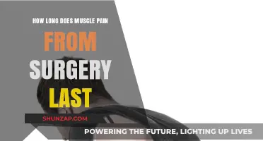 Understanding Leg Muscle Pain Duration: Causes, Relief, And Recovery ...