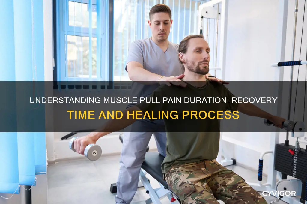 Understanding Muscle Pull Pain Duration: Recovery Time And Healing ...
