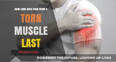 Muscle Contusion Pain Duration: What To Expect And How To Heal | CyVigor
