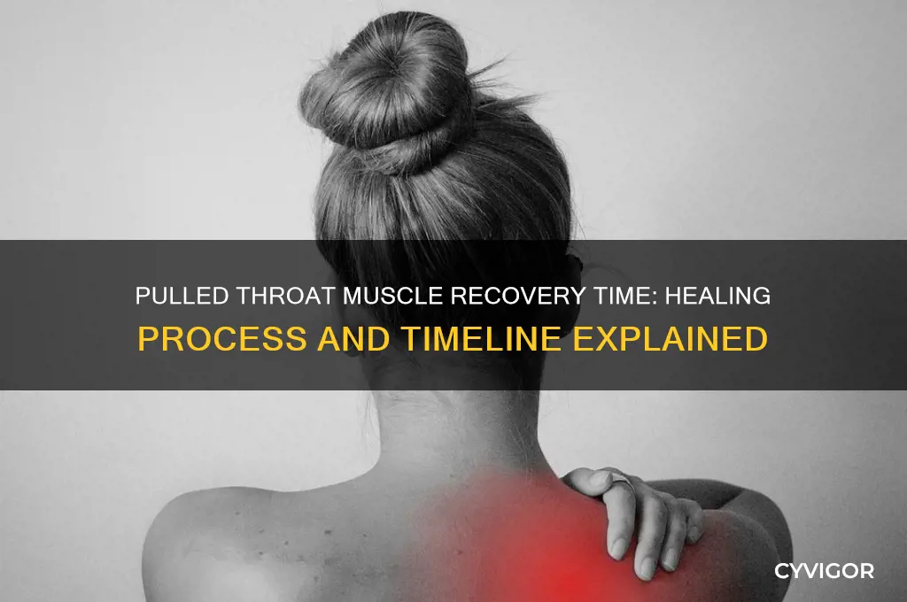 Pulled Throat Muscle Recovery Time: Healing Process And Timeline ...