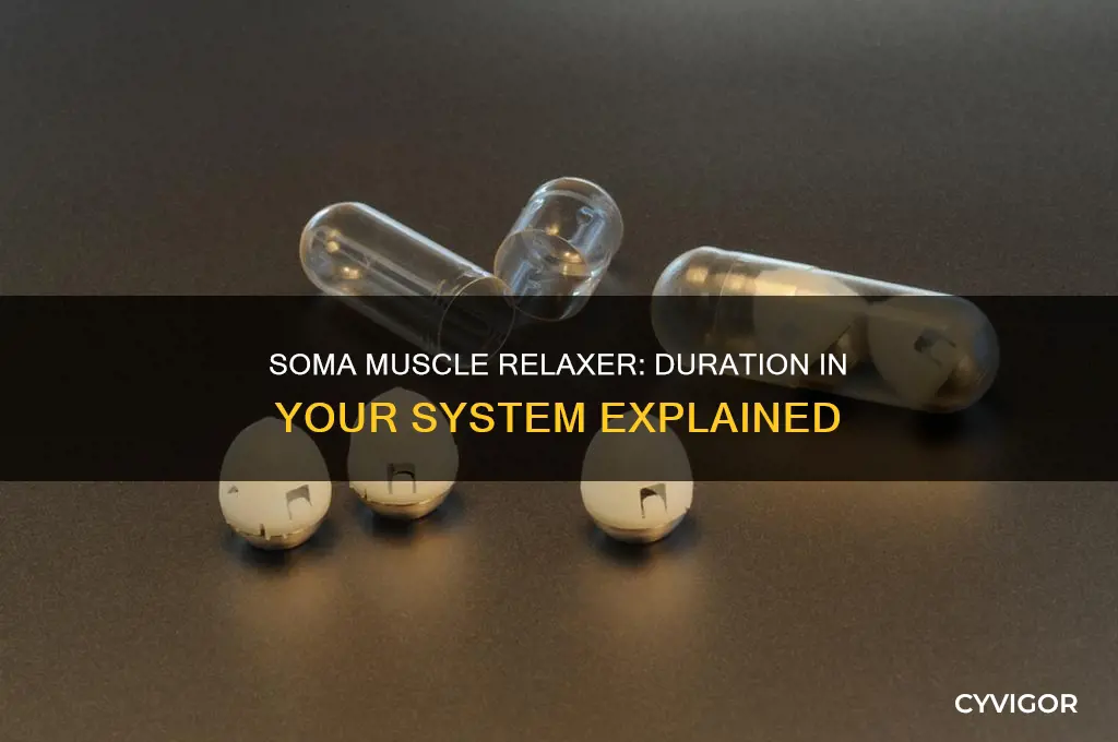 Soma Muscle Relaxer: Duration In Your System Explained | CyVigor