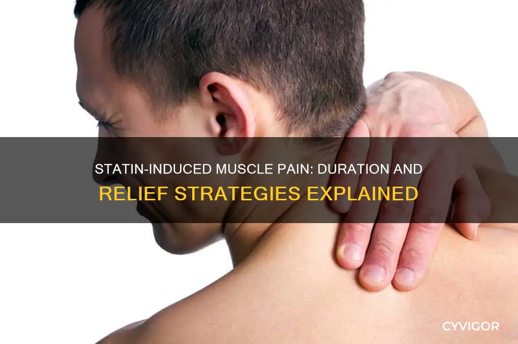 Statin-Induced Muscle Pain: Duration And Relief Strategies Explained ...