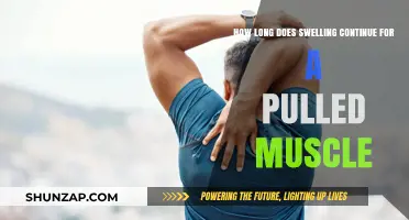 Pulled Trapezius Muscle Recovery Time: What To Expect And How To Heal ...