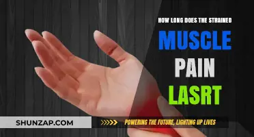 Muscle Contusion Pain Duration: What To Expect And How To Heal | CyVigor