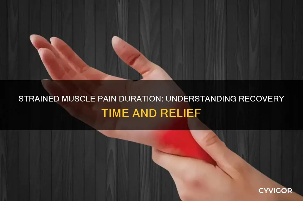 Strained Muscle Pain Duration: Understanding Recovery Time And Relief ...