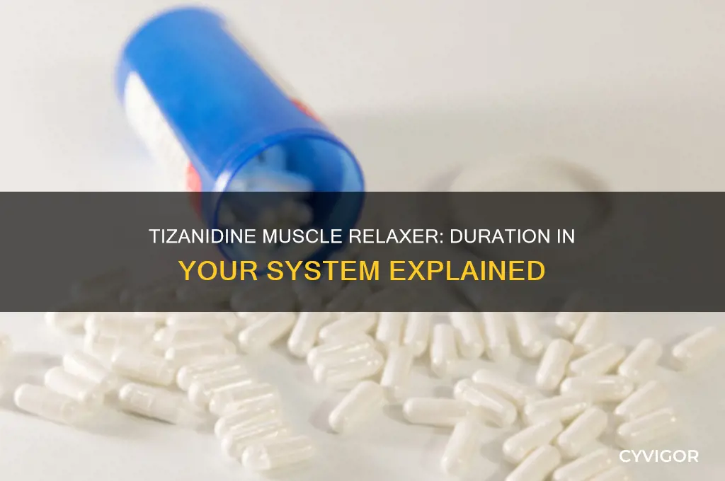 Tizanidine Muscle Relaxer: Duration In Your System Explained | CyVigor