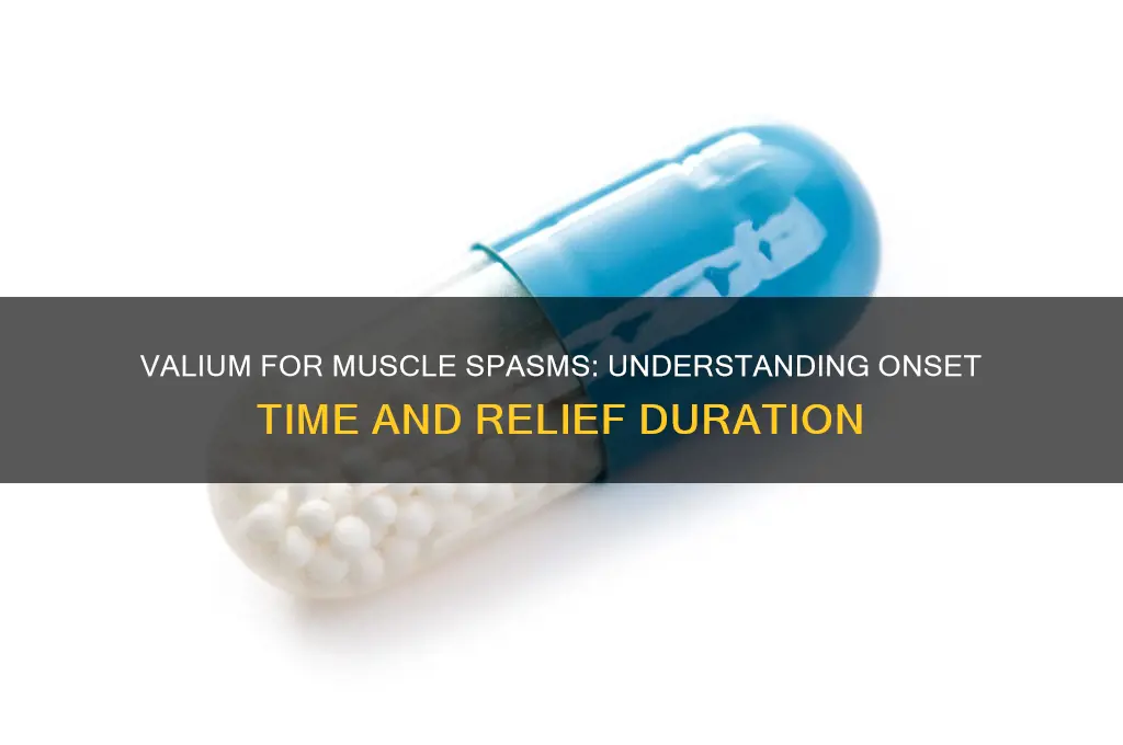Valium For Muscle Spasms: Understanding Onset Time And Relief Duration ...