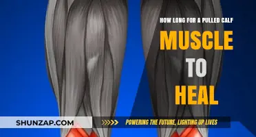 Pulled Neck Muscle Recovery Time: Healing Process And Timeline ...
