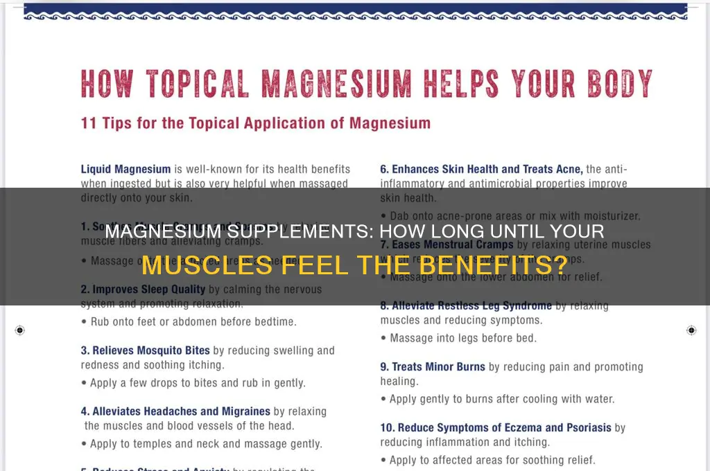 Magnesium Supplements: How Long Until Your Muscles Feel The Benefits ...