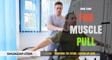 Healing Time For Strained Pulled Muscles: What To Expect | CyVigor