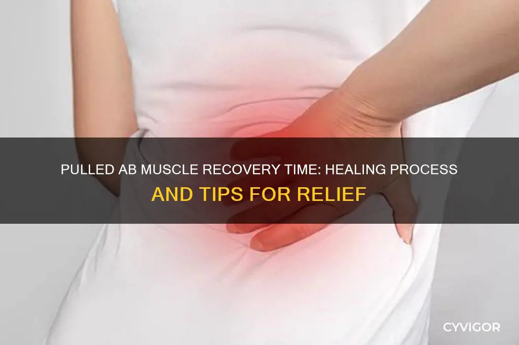 Pulled Ab Muscle Recovery Time: Healing Process And Tips For Relief ...