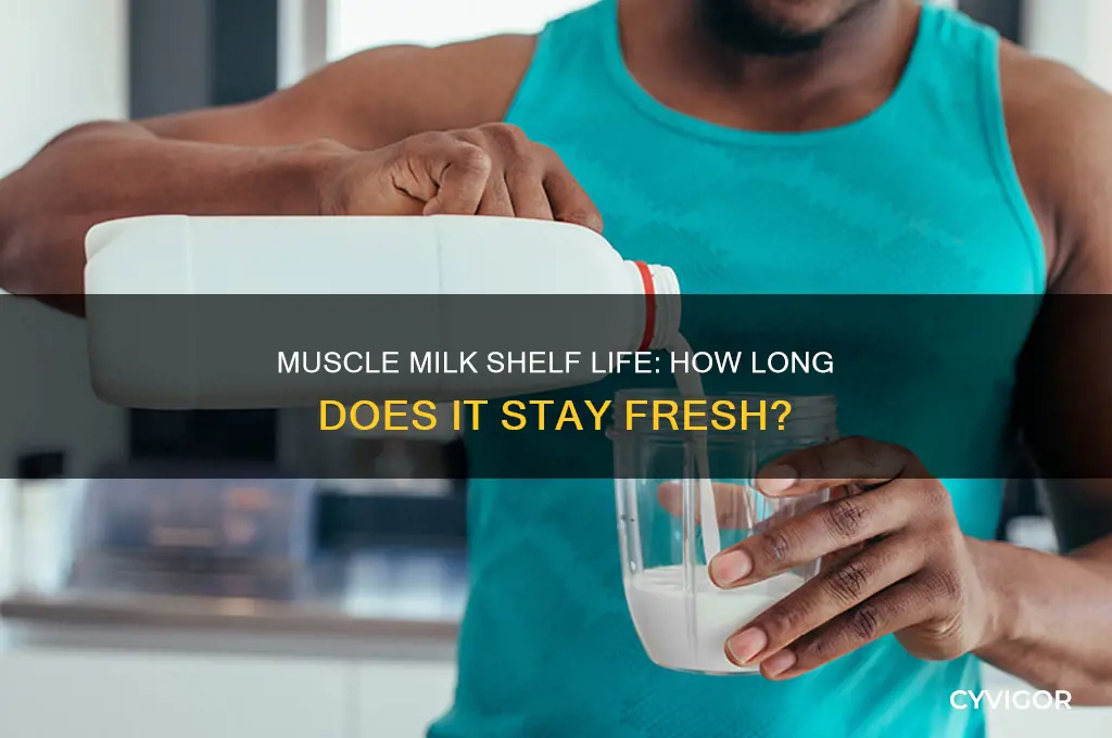 Muscle Milk Shelf Life: How Long Does It Stay Fresh? | CyVigor