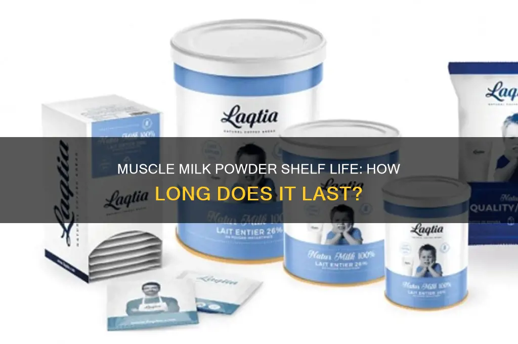 Muscle Milk Powder Shelf Life: How Long Does It Last? | CyVigor
