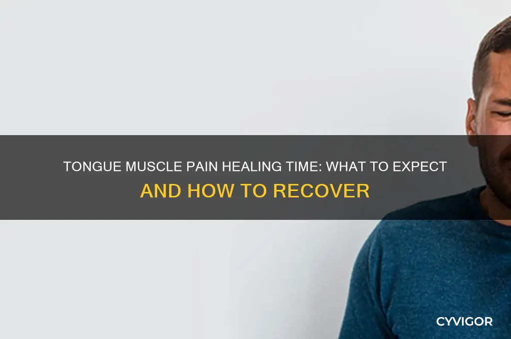Tongue Muscle Pain Healing Time: What To Expect And How To Recover ...