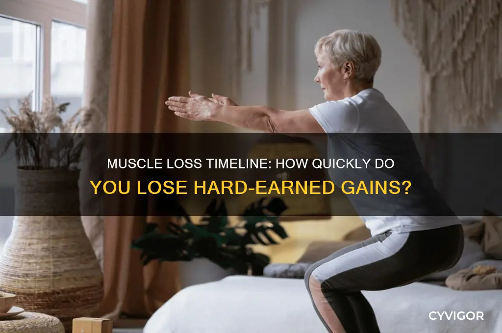 Muscle Loss Timeline: How Quickly Do You Lose Hard-Earned Gains? | CyVigor